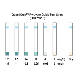QuantiQuik Pyruvate Quick Test Strips (10 Strips)