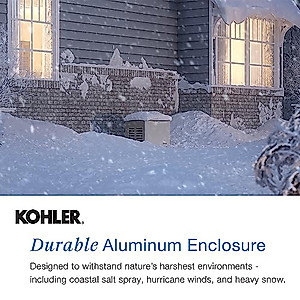 14kW Standby Generator with 16 Cir TS