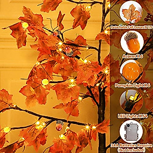 TURNMEON 4 Feet Prelit Maple Tree Fall Decorations Fall Tree Decor with Timer Pumpkin Lights 60 LED Warm Lights Acorn Brown Battery Box Thick Fall Tree Autumn Thanksgiving Indoor Outdoor Party