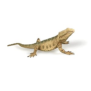 NAKIMO Bearded Dragon Animal Figurine Lizard Toy Realistic Reptile Figures for Decoration, Science Education, Prank Props (Bearded Dragon)