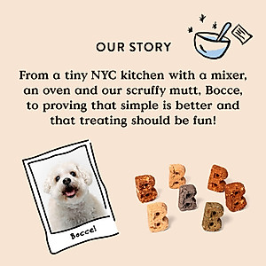 Bocce's Bakery Digestive Support Dog Treats, Wheat-Free Pumpkin Ginger, 6 oz Bag