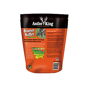 Antler King Booner Buffet Perennial Food Plot | 3 lb Bag Contains Two Varieties of Alfalfa Plus Clover & Chicory | Plants 1/4 Acre