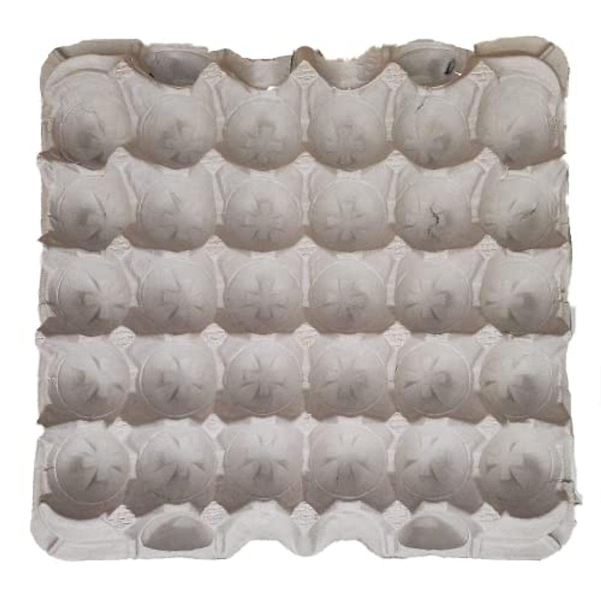 Dubia Roach Colony Starter Kit, 1Lb Organic Feeder Insect Gut Loading Chow, Water Crystals, 6 Egg Flats, for Breeding Insects, Cricket Alternative, for Bearded Dragons, Leopard Geckos, Reptiles