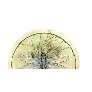 Thirstystone Stoneware Coaster Set, Dragonfly