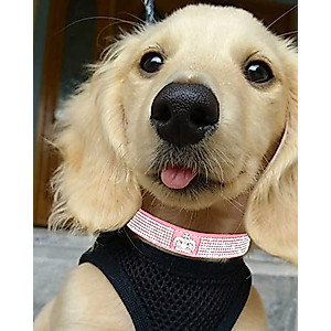 Bling Dog Collar for Small Medium Large Dogs, Crown Rhinestone Dog Collars for Girl and boy Dog, Diamond Puppy Collars, Adjustable Leather Suede SOFE Cat Collar (XS(8.2"-10.6"/21CM-27CM), Rose Red)