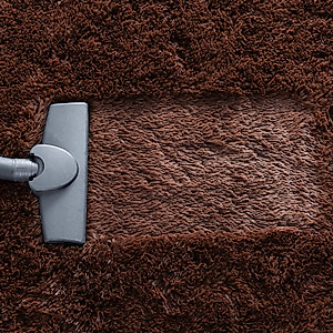 Ompaa Fluffy Area Rugs, Super Soft Shaggy Rug Fuzzy Long Fur Carpets for Bedroom Living Room Decor, 4 x 6 Feet Brown