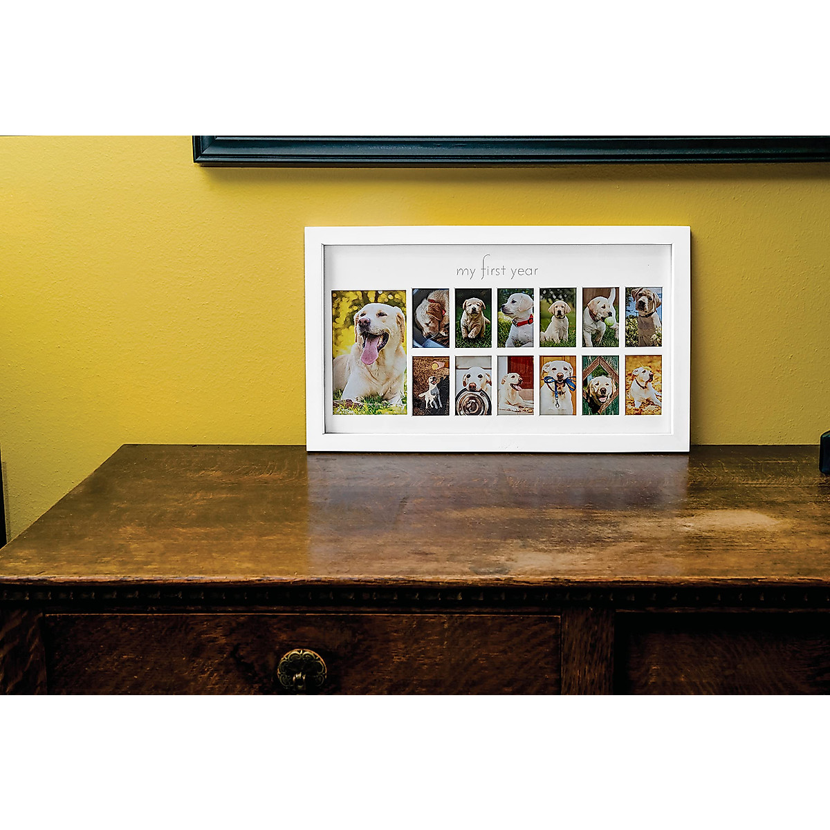 Green Pollywog | My First Year Picture Frame for Dogs | 12 Month Photo Frame | White Wood Frame | Fur Baby Frame | Fur Baby Milestone Picture Display | Dog Keepsake Frame | Dog Birthday Gift