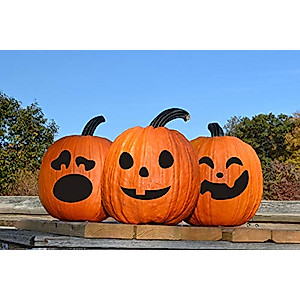 Halloween Pumpkin Stickers Crafts Decorations -Make Your Own Jack-O-Lantern - Trick or Treat Party Supplies 64Ct