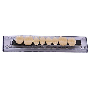 RZJZGZ 168 Pcs Dental Synthetic Resin Tooth Denture Temporary False Teeth 6 Sets False Teeth 23 A2
