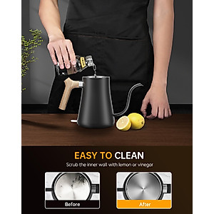 Fabuletta Gooseneck Electric Water Kettle, 3 Minutes Quick Heating, 1200W Pour Over Kettle for Coffee & Tea, Precise Water Flow Control Hot Water Boiler, 100% Stainless Steel Water Boiler