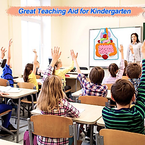 KAKIBLIN 3D Organ Apron,(Upgrade Version) Anatomy Apron Human Body Organs Awareness Educational Toy for Home Preschool Teaching Aid, Transparent