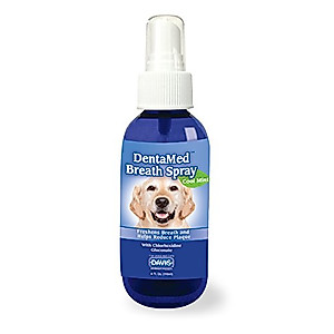 Davis DentaMed Breath Spray, 4 oz (DBSP04)