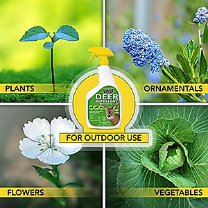 Harris Deer Repellent, Long Lasting Ready to Use Plant Safe Formula, 32oz