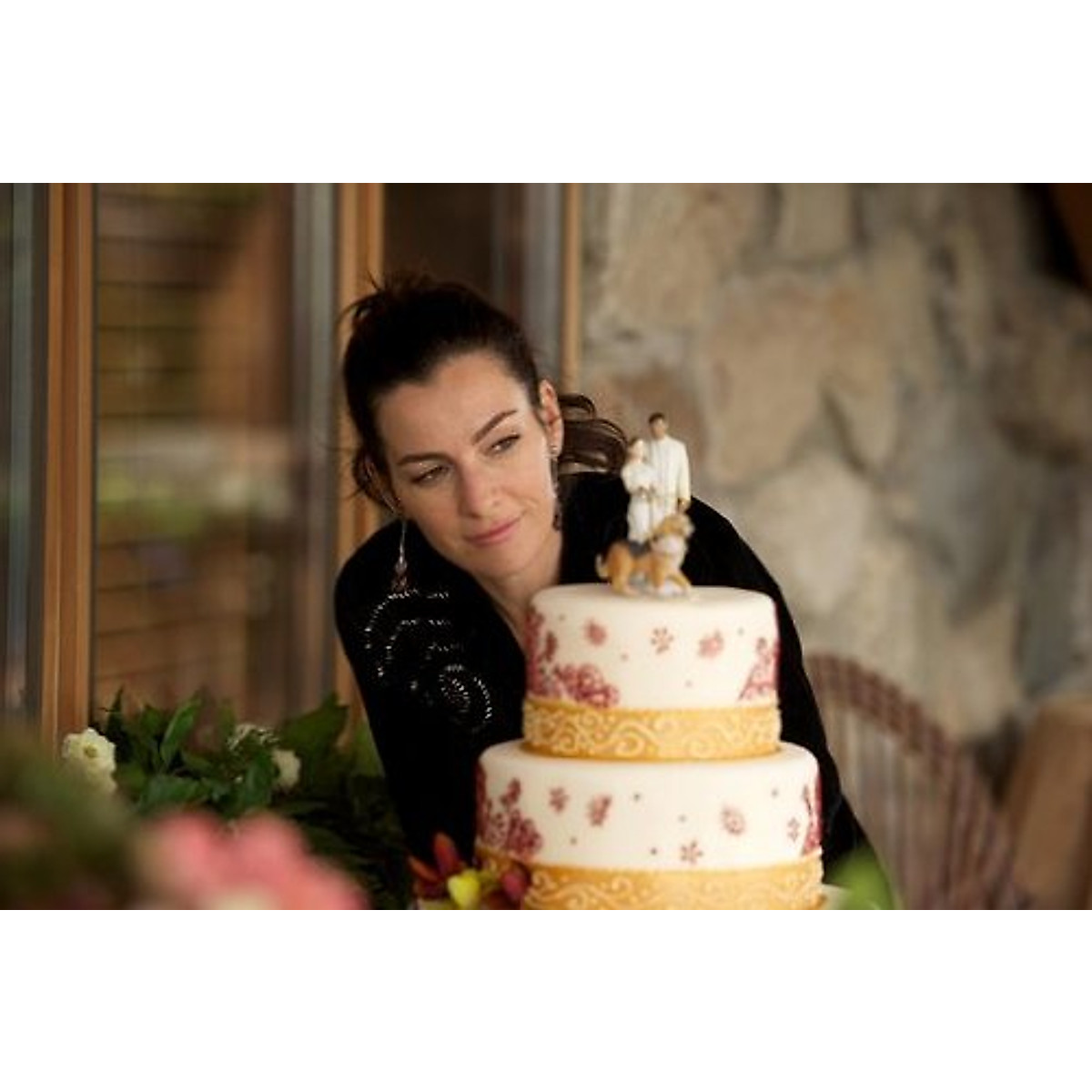 Darling Companion [Blu-ray]