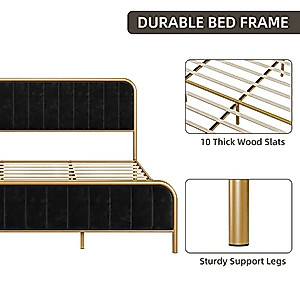 Senfot King Size Bed Frame with Gold Metal Frame, Modern Platform Bed, Noise Free Design, Wood Slats Support, No Box Spring Needed, Easy Assembly in Black