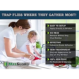 MaxGuard Window Fly Traps (24 XL Traps) Catch & Kill Houseflies, Flying Insects & Bugs. Non-Toxic Sticky Glue Traps Fly Killer Clear Strip Insect Catcher Safe No Zapping with Zapper |