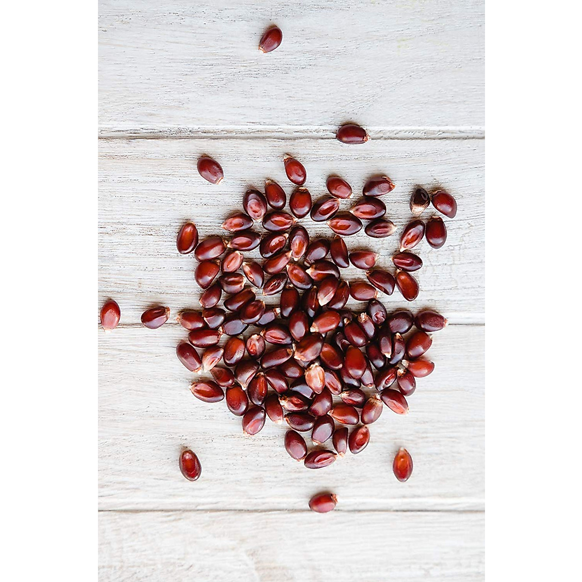 Amish Country Popcorn | 6 lbs Bag | Red Popcorn Kernels | Old Fashioned, Non-GMO and Gluten Free (Red - 6 lbs Bag)