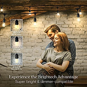 Brightech Ambience Pro Outdoor String Lights - Commercial Grade Waterproof Patio Lights with 48 Ft Dimmable Edison Bulbs - Heavy Duty LED Porch String Lights - 2W LED, Warm White Light