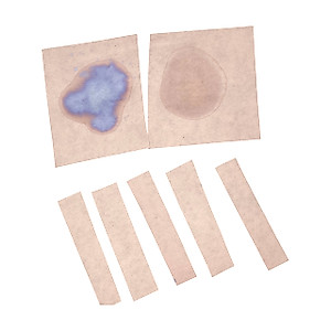 Red Litmus Test Paper 8x10 Inch Sheet [Pack of 24]