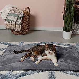 Furhaven ThermaNAP Self-Warming Cat Bed for Indoor Cats & Small Dogs, Washable & Reflects Body Heat - Quilted Faux Fur Reflective Bed Mat - Gray, Small