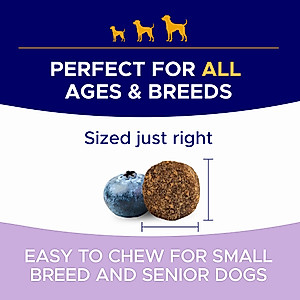 GOODGROWLIES Probiotics for Dogs Gut Health & Digestive Function Support - Probiotic Chews w Pumpkin & Omega - Upset Stomach & Gas Relief, Constipation, Canine Prebiotic Supplement