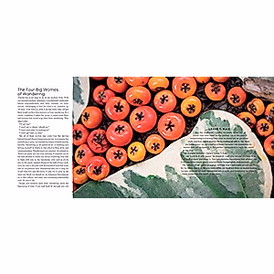 Morning Altars: A 7-Step Practice to Nourish Your Spirit through Nature, Art, and Ritual