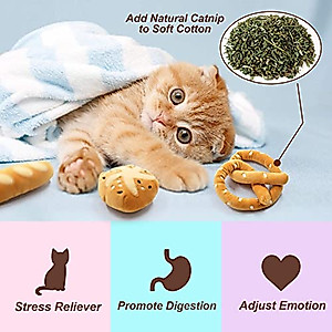 Bread Catnip Toys Kitten Interactive Toys for Cat Lover Gifts Kitty Chew Bite Kick Toys Supplies Baguette Croissant Pretzel Toast Bun Cinnamon Roll Plush Catmint Pet Presents Set of 6