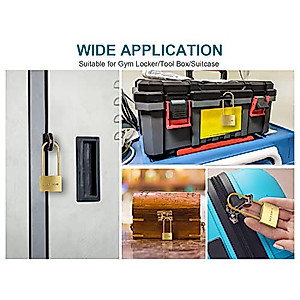 DELSWIN Keyed-Alike Solid Brass Padlock - Small Pad Locks with Same Key Weatherproof Long Shackle Lock for School Gym Locker and Tool Box, Pack of 2