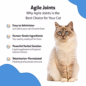 Pet Wellbeing Agile Joints for Cats - Vet-Formulated - Joint Health, Mobility, Ease of Movement - Natural Herbal Supplement 2 oz (59 ml)