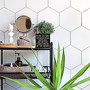 Funny Sarcastic Wooden Box Sign Plaque Note to Self Just Because It Pops into My Head Wood Box Sign Rustic Art Home Shelf Desk Decor 5 X 5 Inches