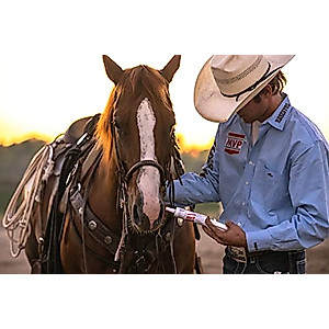 Electro-Cell II Electrolyte Paste for Horses -5-Pack (10 doses)