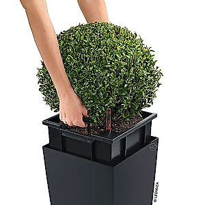 Lechuza 13164 Cubico Color 22 Self-Watering Planter for Indoor and Outdoor Use, 9" x 9" x 16", Slate Matte