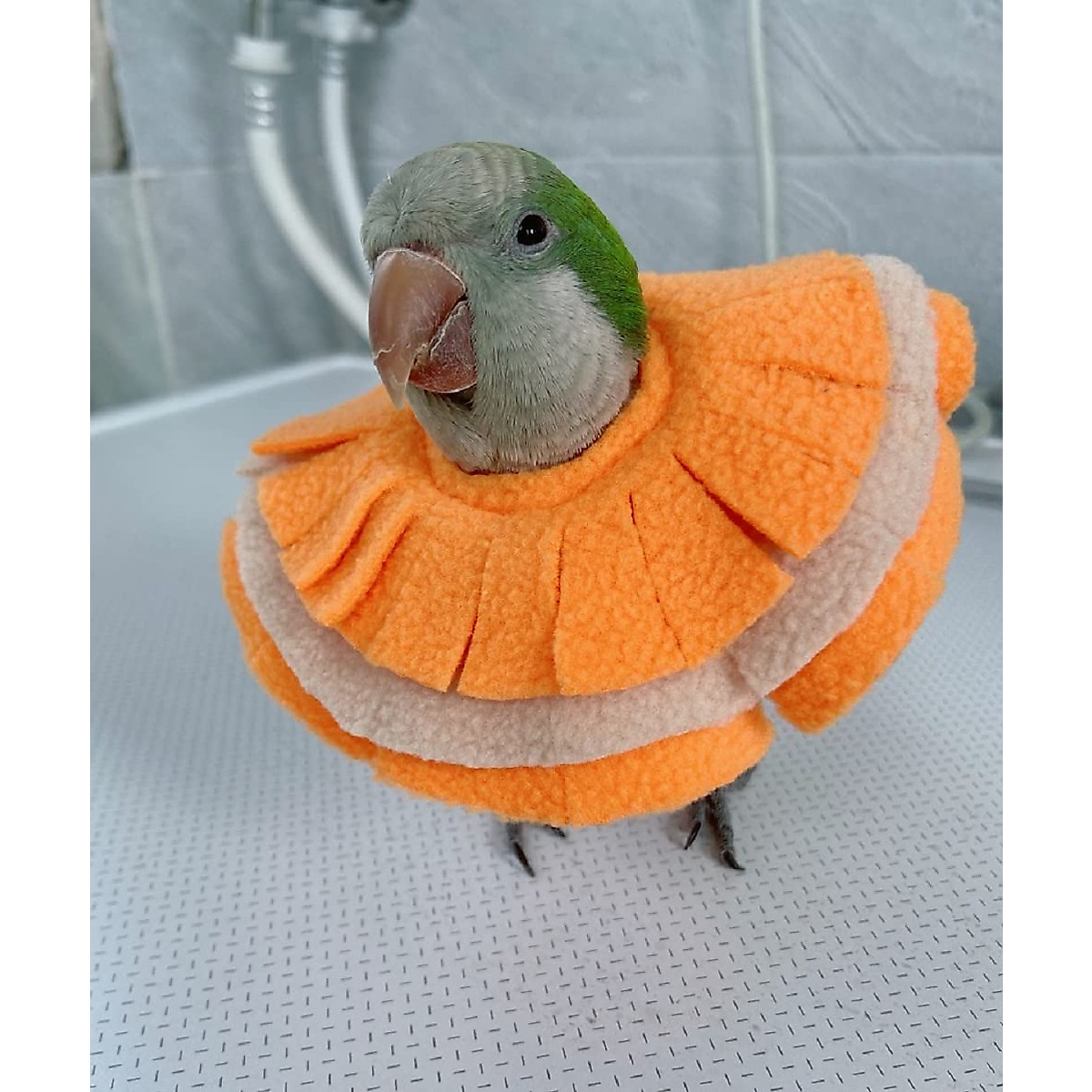 Adjustable Parrot Cone Collar, Safe and Practical Cotton Collar to Prevent Bites and Licking Wounds, to Help heal (S)