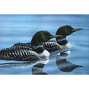 Loons Loon pair Artist Proof Signed Limited Edition Print from an original painting by Lawrence Dyer Signed Wildlife Bird Art Gift 19" x 13"