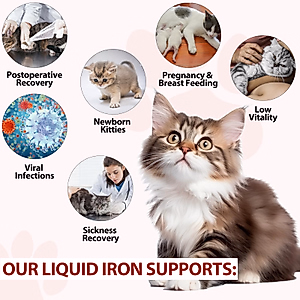 Iron Supplements for Cats, 60ML Liquid Iron with Folate and B12 Supports Anemia, Low Enery Levels and Lethargy, Promotes Red Blood Cell Formation and Blood Health