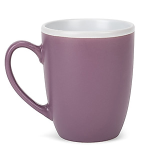 Elanze Designs Solid Color Purple White Interior 16 ounce Matte Ceramic Mugs Matching Set of 4