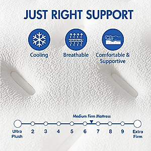 DH DIGLANT HOME Twin Mattress,10" Memory Foam Hybrid Tight Top Mattress with Pocket Spring,Medium-Firm Foam Mattress Sleep Motion Isolation, Supportive & Pressure Relieving,Mattress-in-a-Box