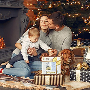 My Little Zone 100% Cotton Crib Fitted Sheets for Baby Boys and Girls, Dinosaur - Breathable Toddler Bed Sheet Set - Dino Safari, 28x52 with 8" Deep Pocket, Blue-White, 2 Pack