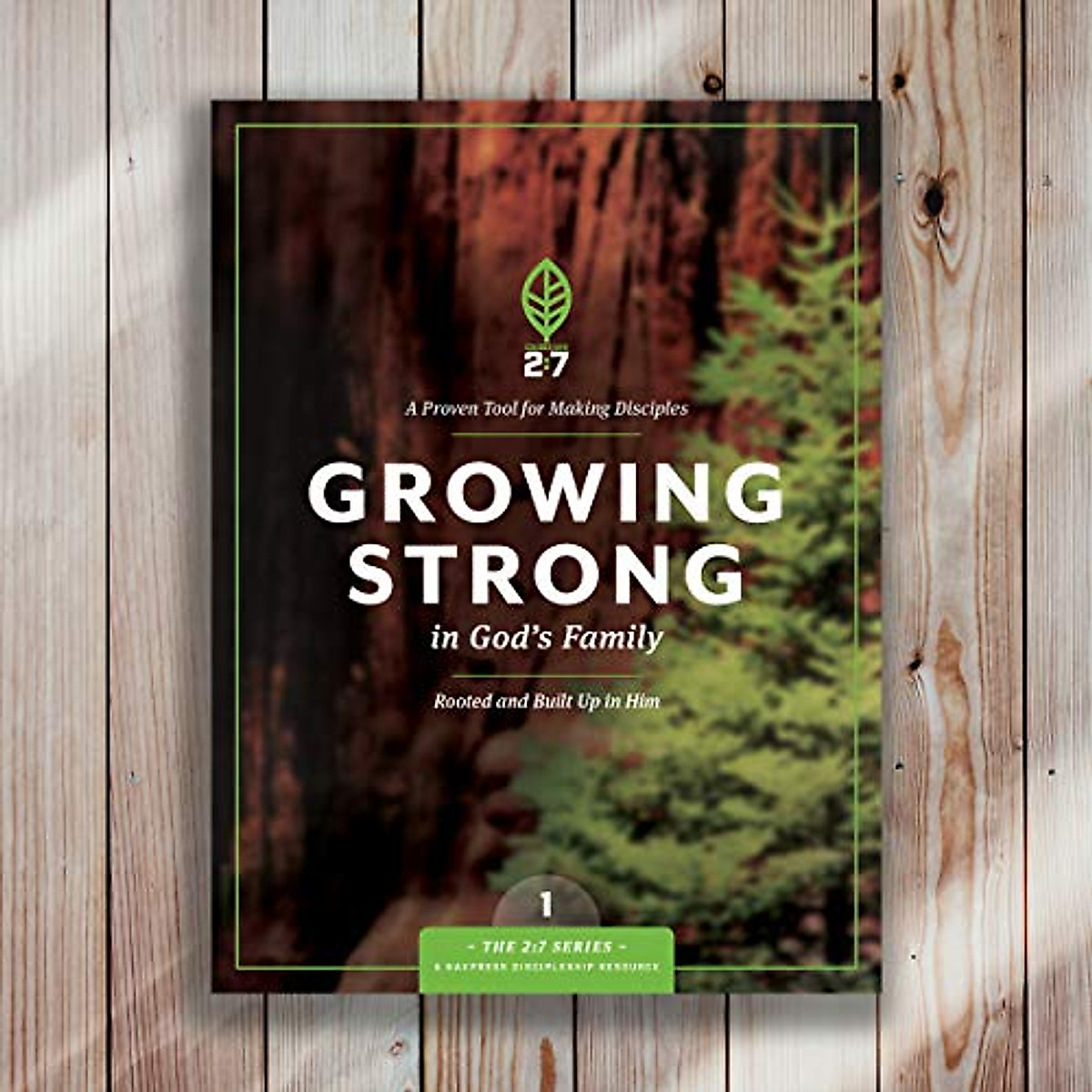 Growing Strong in God's Family: Rooted and Built Up in Him (The 2:7 Series)