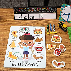 Blue Panda 2 Pack Educational Wood Peg Anatomy Puzzle Toys for Kids Game, Human Body Parts