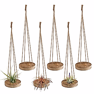 6 Pcs Hanging Wooden Air Plant Holder - 3" Round Wooden Air Plant Hanger with Jute Ropes, Rustic Air Plant Stand Tillandsia Succulent Display Container for Home Office Decor (Plants Not Included)