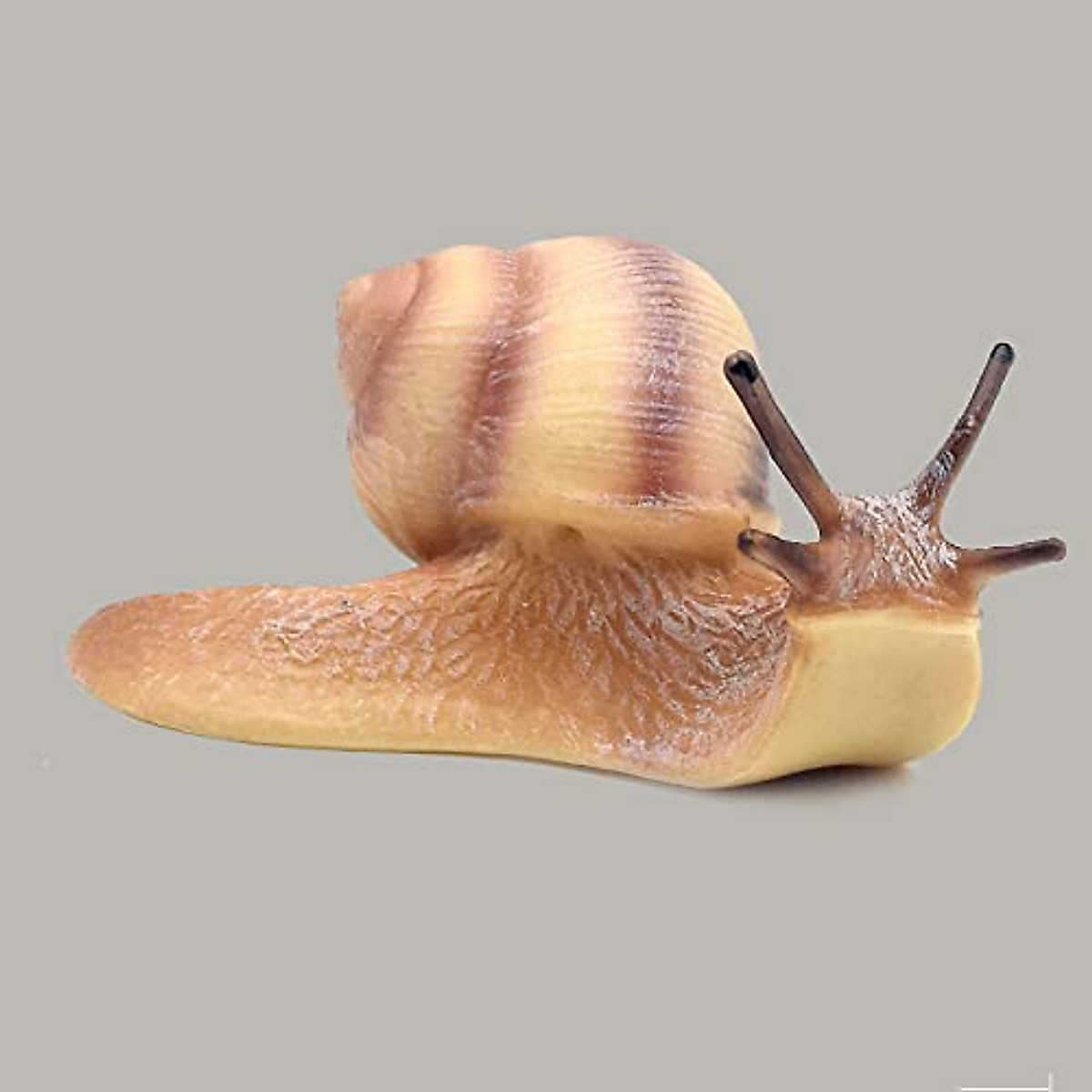 2 Pcs Snail Figurines Snail Model Miniature Snail for Fairy Garden Micro Landscape Decor