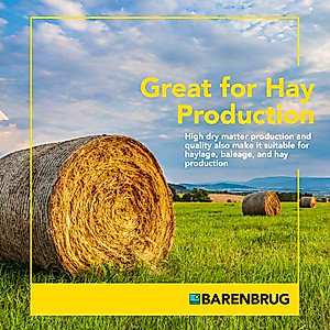 Barenbrug Beefmaster Premium Cattle Pasture Grass and Forage Seed Mix, 25 lbs. (25 LB Bag)