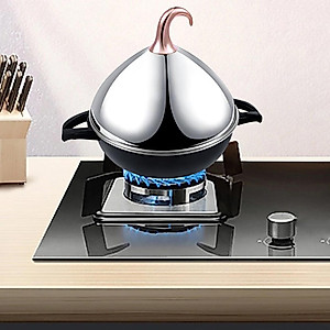 Stainless Steel Stockpot with Lid Tagines Pot Dual Handle Cookware Kitchen Cooking Pot Nonstick Soup Pot for Cooking Potting Sauce Soup Eggs, Argent