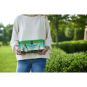 Osmocote Smart-Release Plant Food Plus Outdoor & Indoor, 8 lb. and Miracle-GRO Tree & Shrub Plant Food Spikes, 12 Spikes/Pack