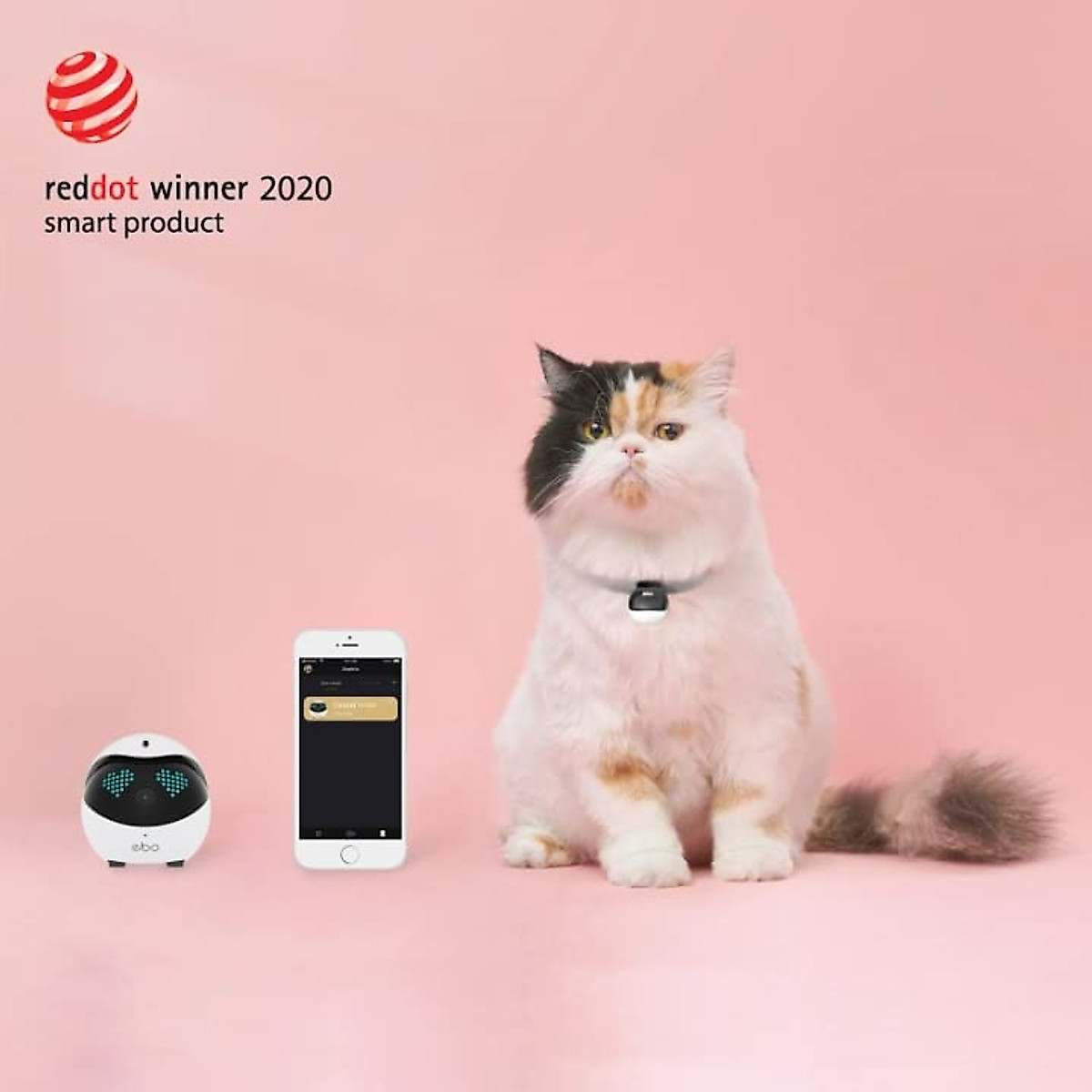 Enabot Ebo SE Movable Smart Pet Dog Camera Robot, Wireless Auto-Cruise Self-charging 1080P HD w/Night Vision 2-Way Audio APP Remote Control Motion Detection IP Cam Home Camera 2.4G/5G Wifi