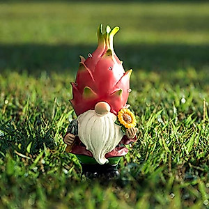LA JOLIE MUSE Newest Garden Decor, Garden Gnomes, Upgraded Dragonfruit Solar Gnomes, Outdoor Decoration for Patio Yard Lawn, Housewarming Garden Gifts