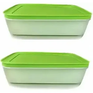 Tupperware 1L Freezermate Storage container 2 Piece GREEN Plastic Utility Container (Pack of 2, Green)