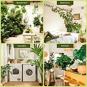 Grow Light Bulbs, LED Grow Light Bulbs A19, Full Spectrum Plant Light Bulbs, 100W Equivalent Grow Bulb, E26 Base, 9W Grow Lights for Indoor Plants, Flowers, Seed Starting, Greenhouse, 4000K, 2-Packs