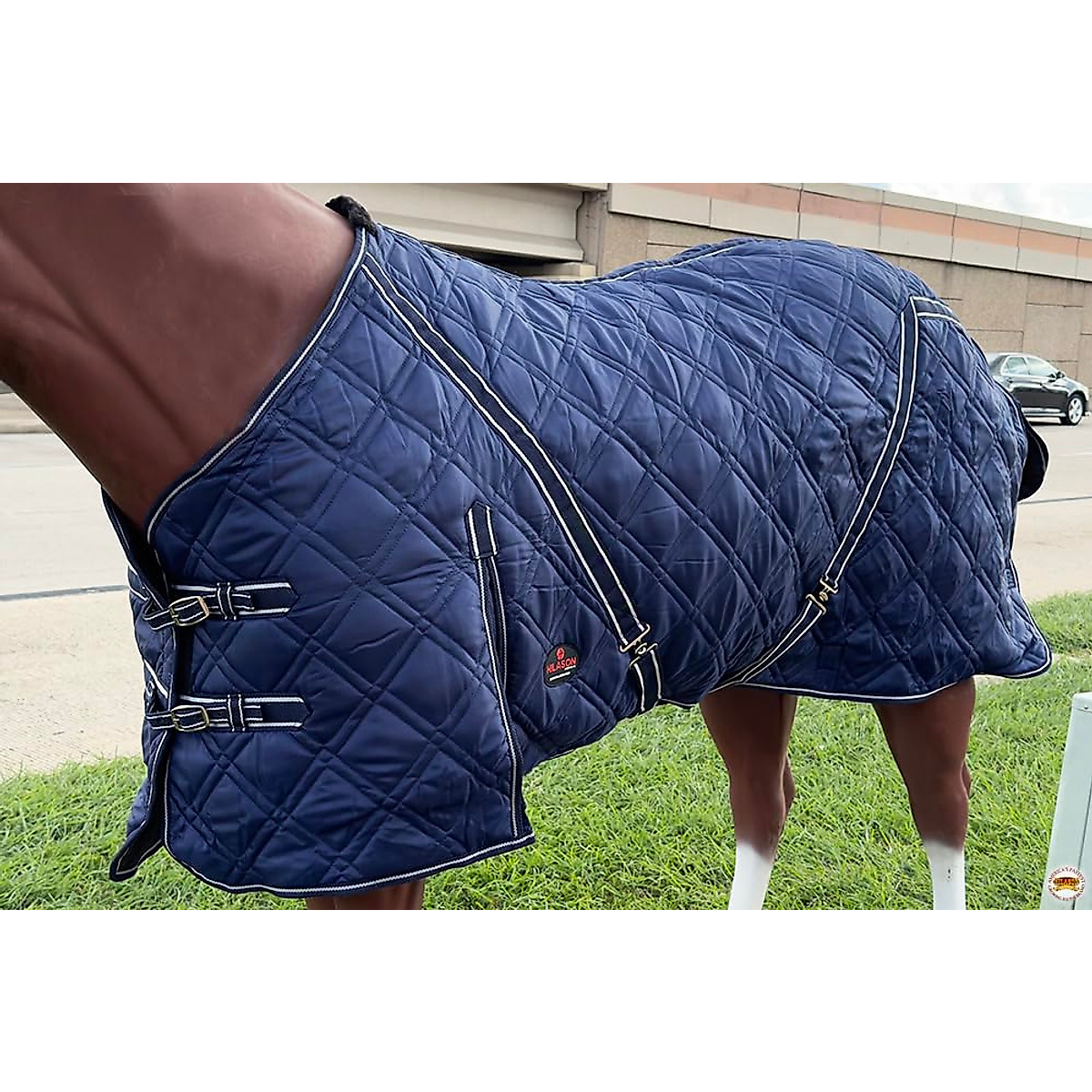 HILASON Western Horse Stable Blanket Quilted | Horse Blanket | Horse Blankets for Winter | Water Resistant Stable Blankets for Horses | Blankets for Horses | Blue | 78 Inches